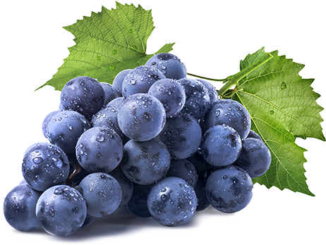 Angebote - Serpamarkt