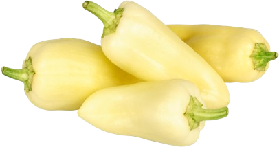 Startseite - Serpamarkt